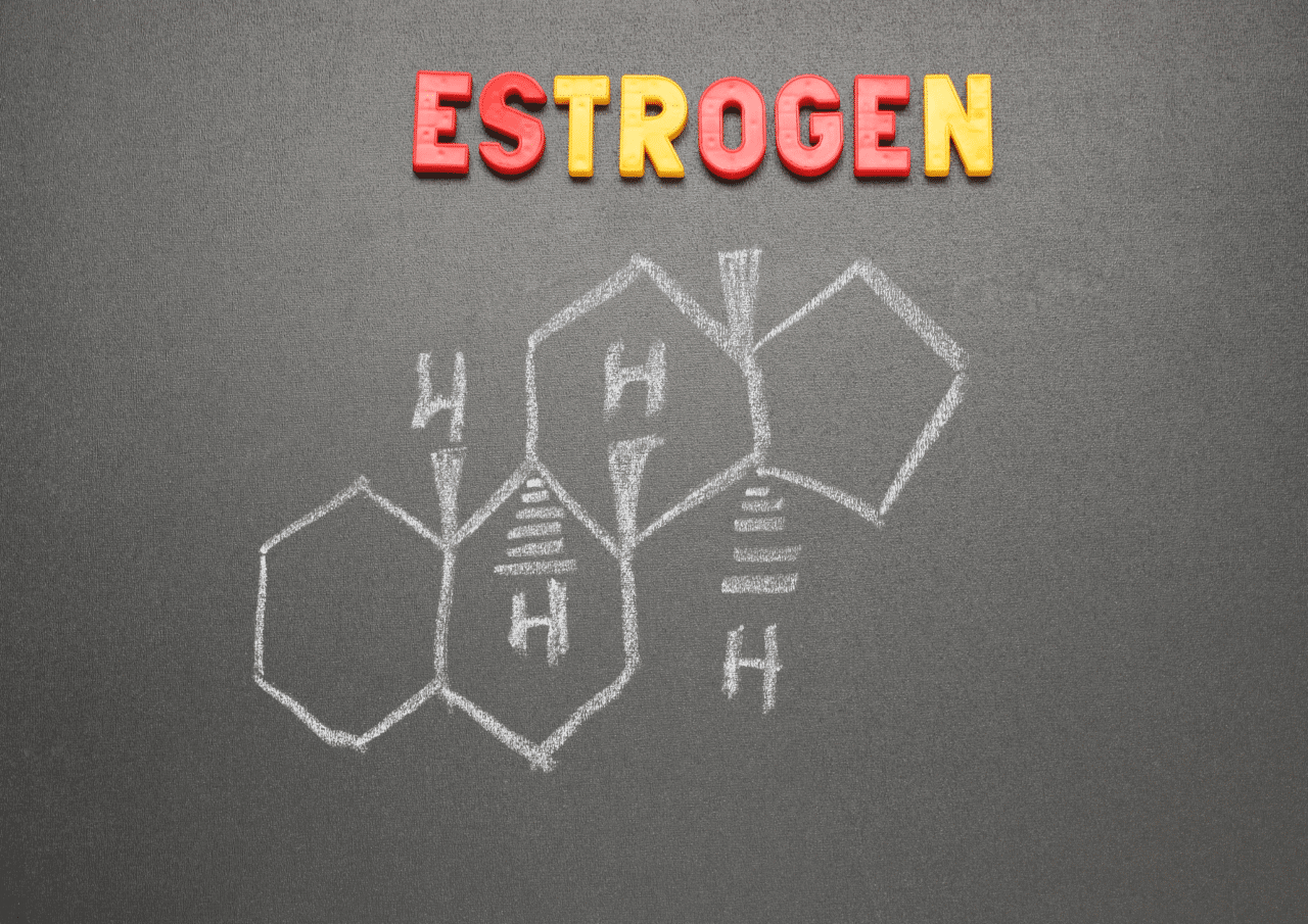 GASTBLOG - Oestrogeen, progesteron en onze menstruatiecyclus - Behind Endo